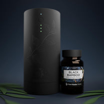 Plug-in Scent Diffuser Kit (Small Space) Includes Scent – airemasterhome