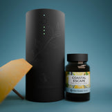 Plug-in Scent Diffuser Kit (Small Space) Includes Scent – airemasterhome